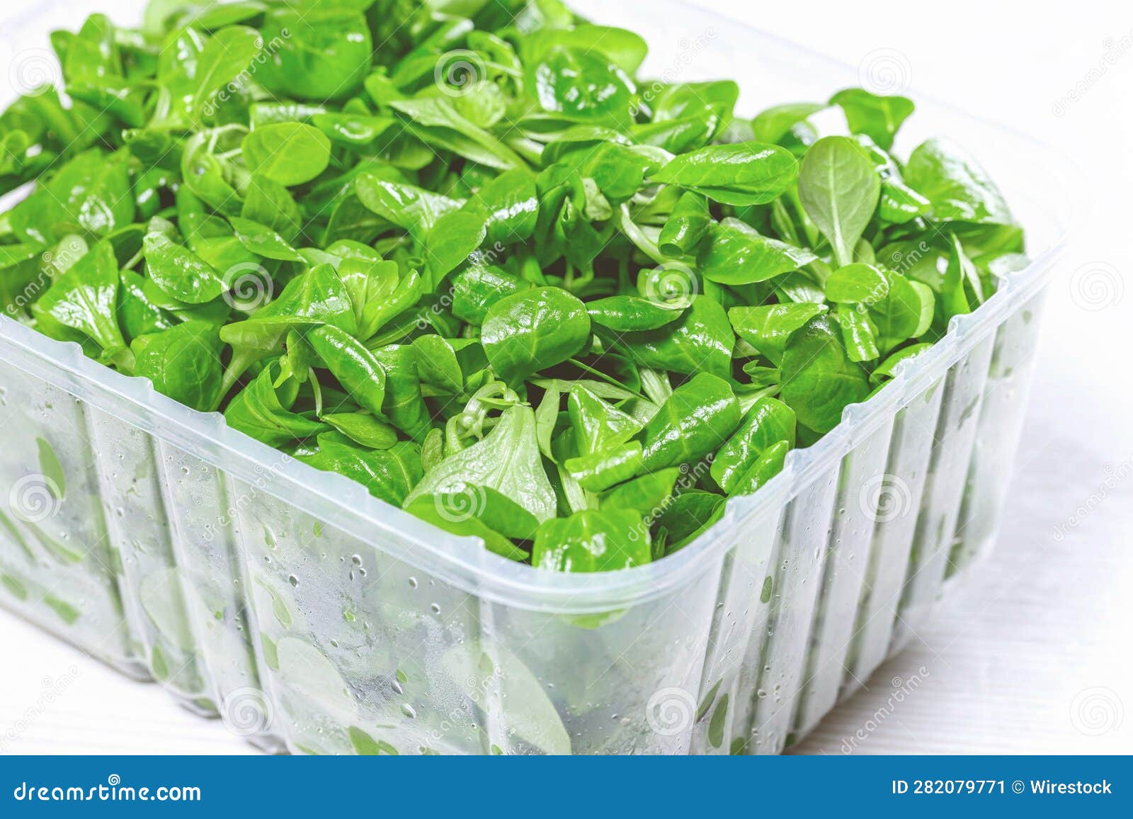 White Plastic Container Filled with a Variety of Fresh Green Vegetables ...