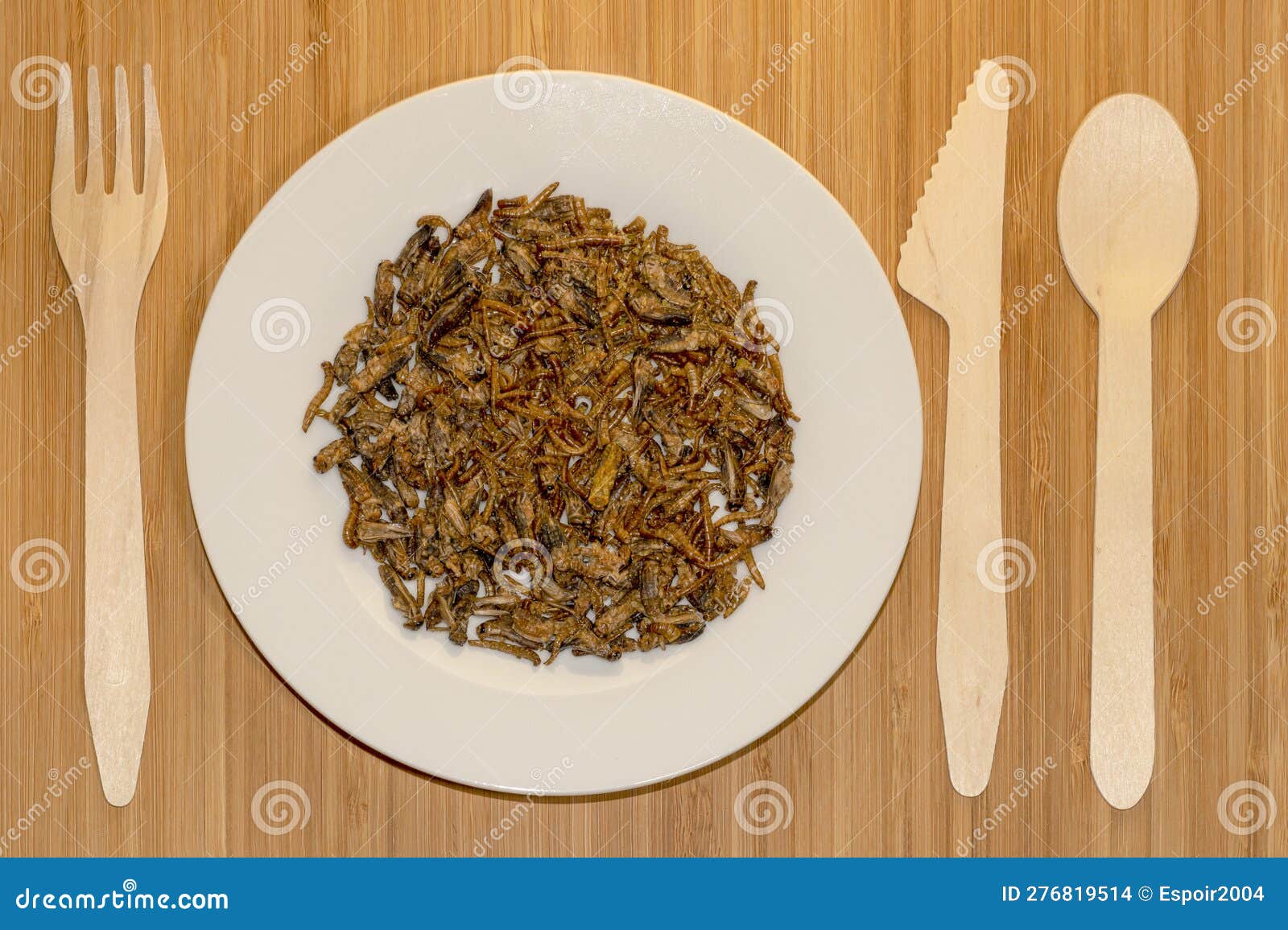 White Plate Filled with Fried Insects Approved for Consumption in ...