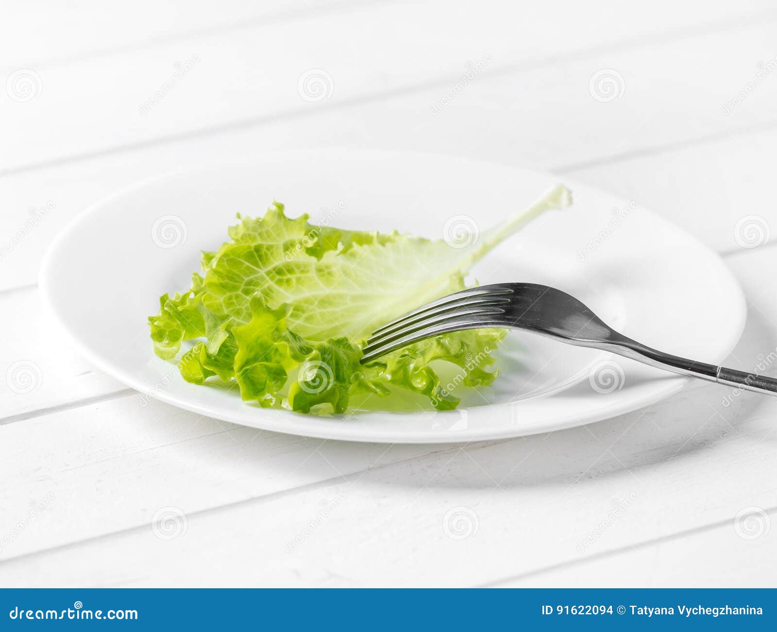 White Plate with a Leaf of Lettuce Stock Photo - Image of leaf, healthy ...