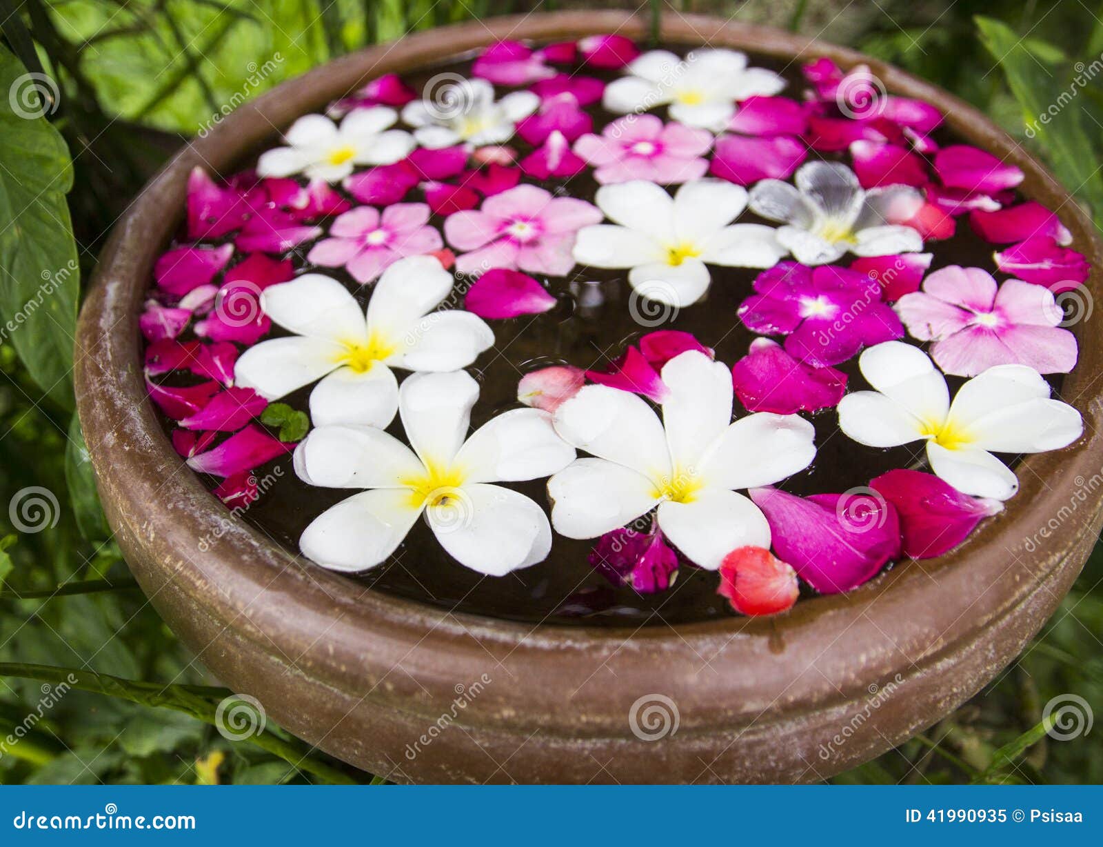 Flower Water Pot Outdoor & Gardening Home & Living etna.com.pe