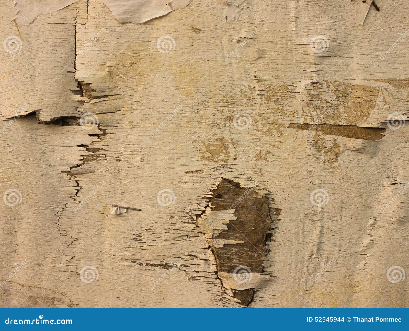 White Ply Wood for Background Stock Photo - Image of abstract, grunge ...