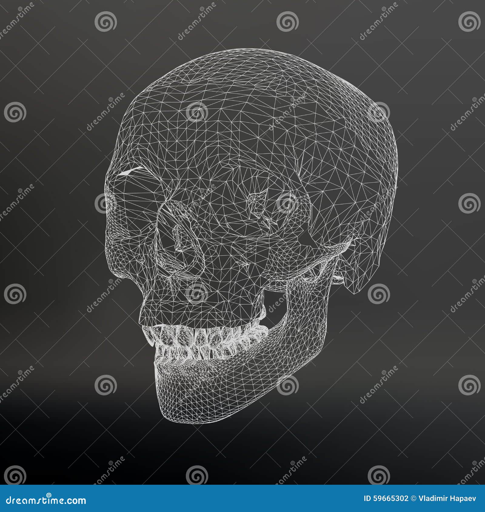 White Polygonal Skull on White Studio Background. Stock Illustration ...