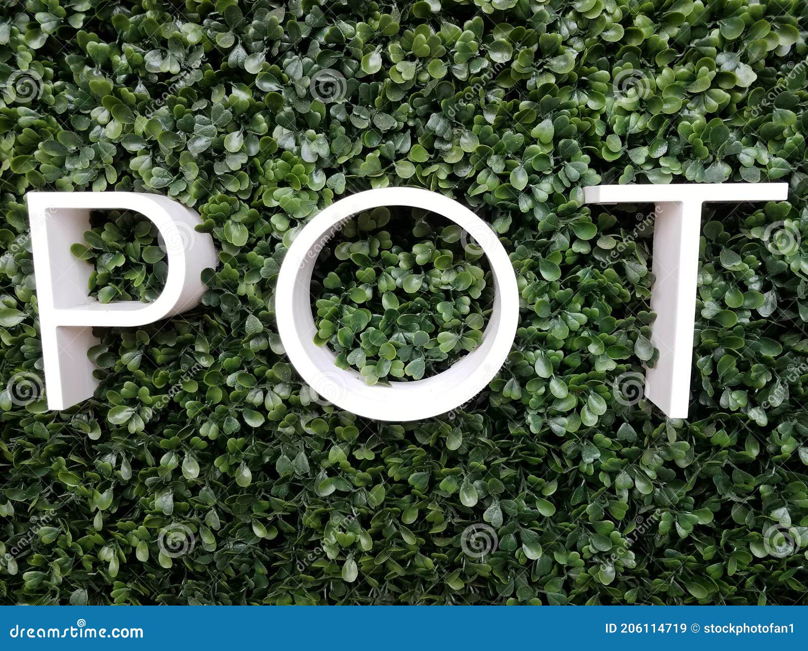 White Pot Letters on Wall with Green Plants Stock Image - Image of wall ...