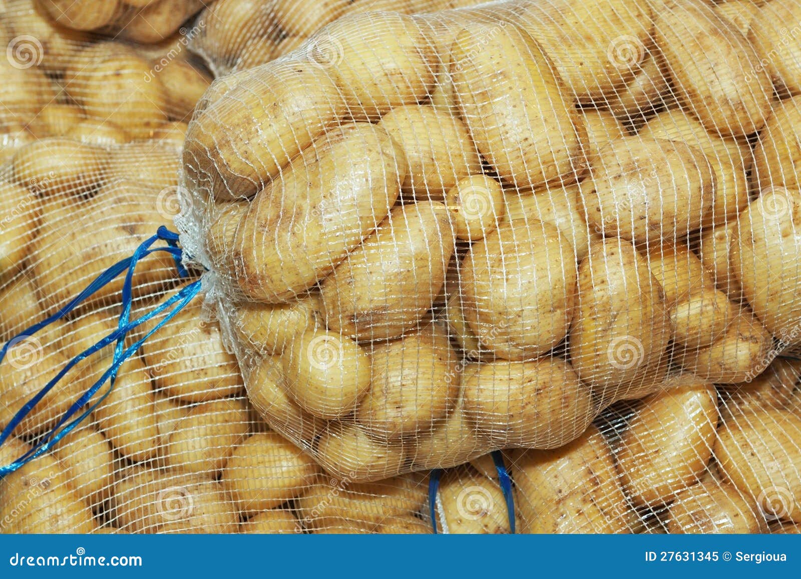 White Potatoes in Mesh Bags. Stock Image - Image of freshness ...
