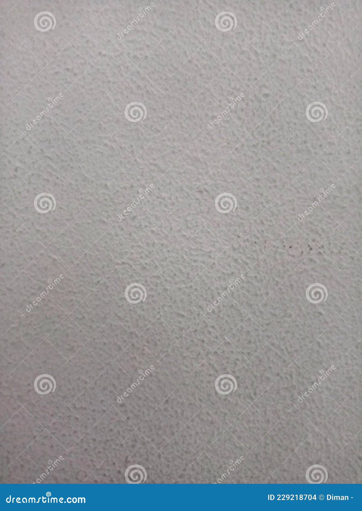 White potrait stock photo. Image of background, potrait - 229218704