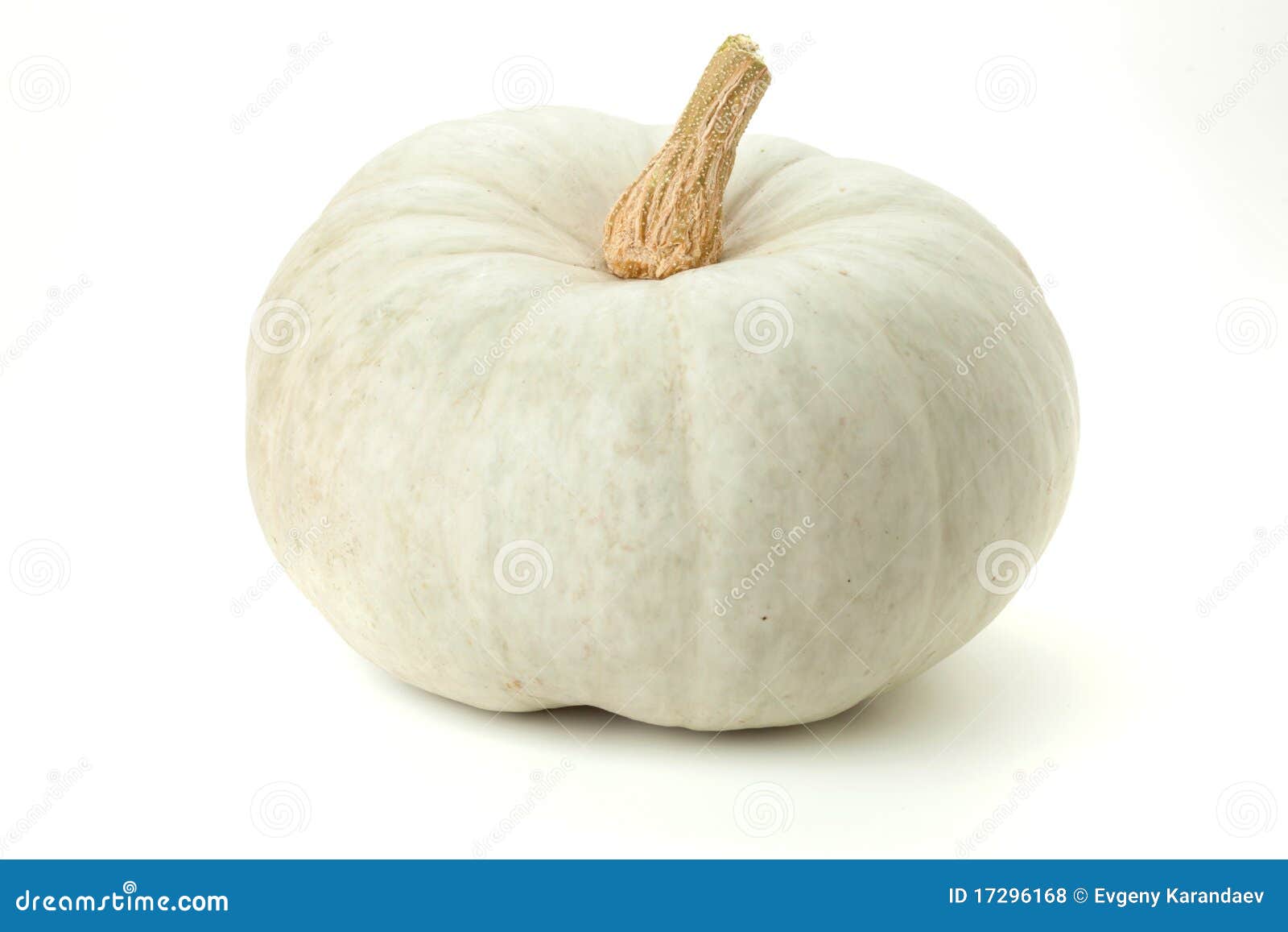 White Pumpkin Royalty Free Stock Photos - Image: 17296168