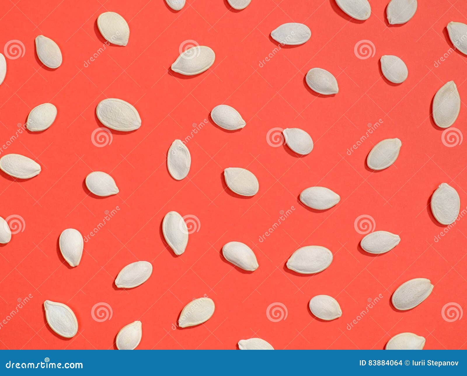 White Pumpkin Seeds Flat Lay Stock Photo - Image of healthy, delicious ...