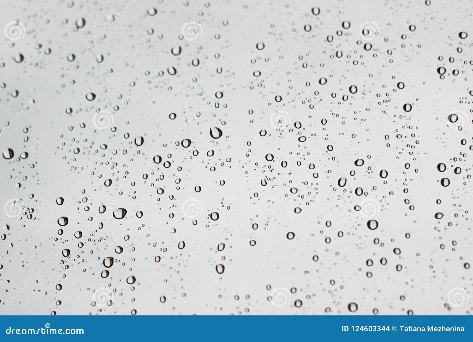 White Pure Raindrops on a Window Glass Surface Stock Photo - Image of ...