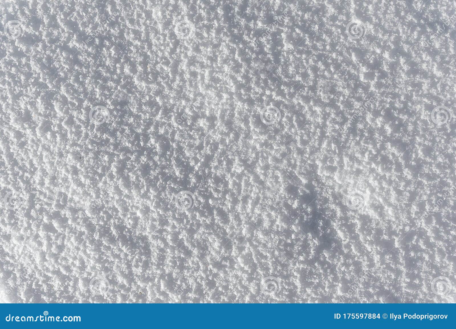 White Pure Snow Texture, Background of Fresh Snow Texture in Blue Tone ...