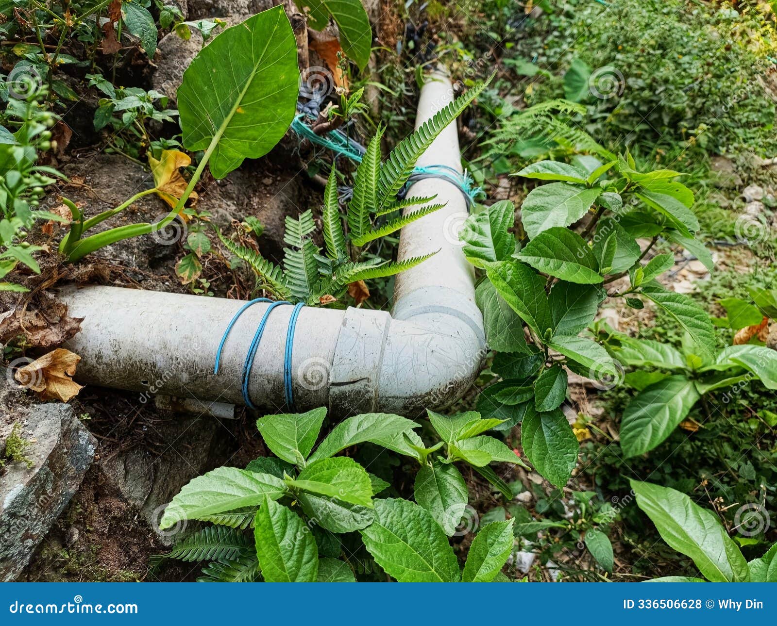 White PVC Pipe Installed among Natural Green Plants. Stock Photo ...