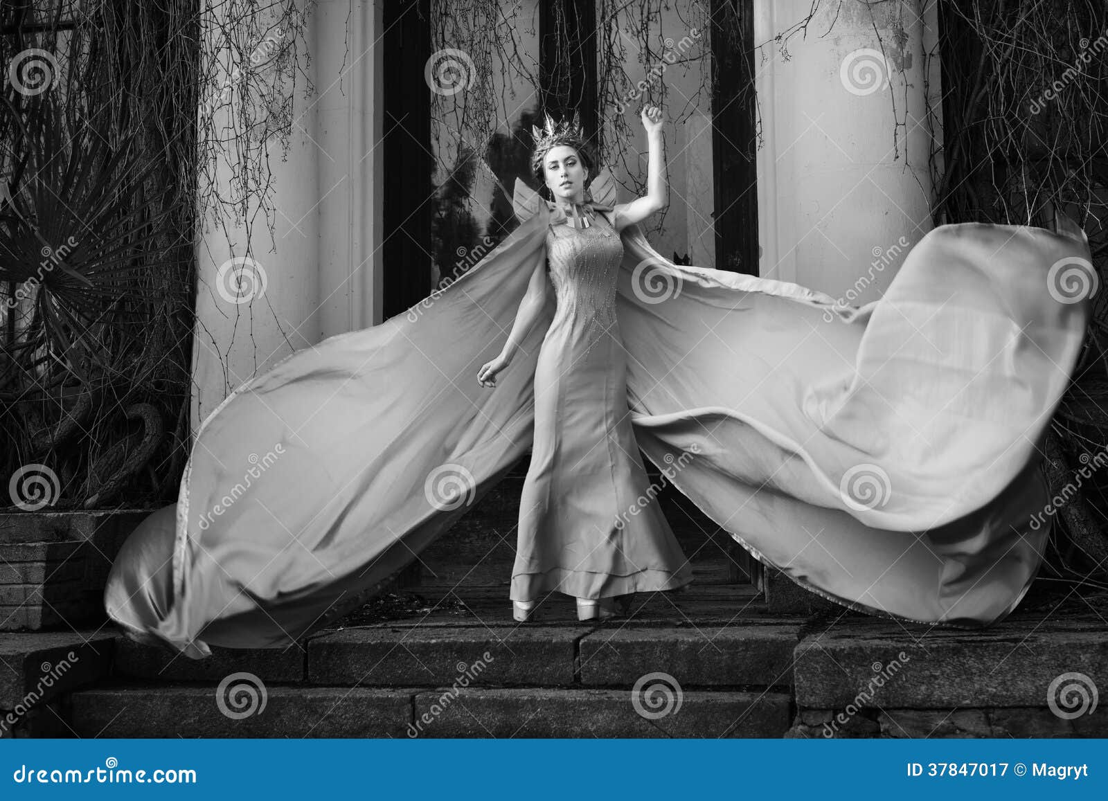 White queen stock image. Image of adult, nobility, black - 37847017