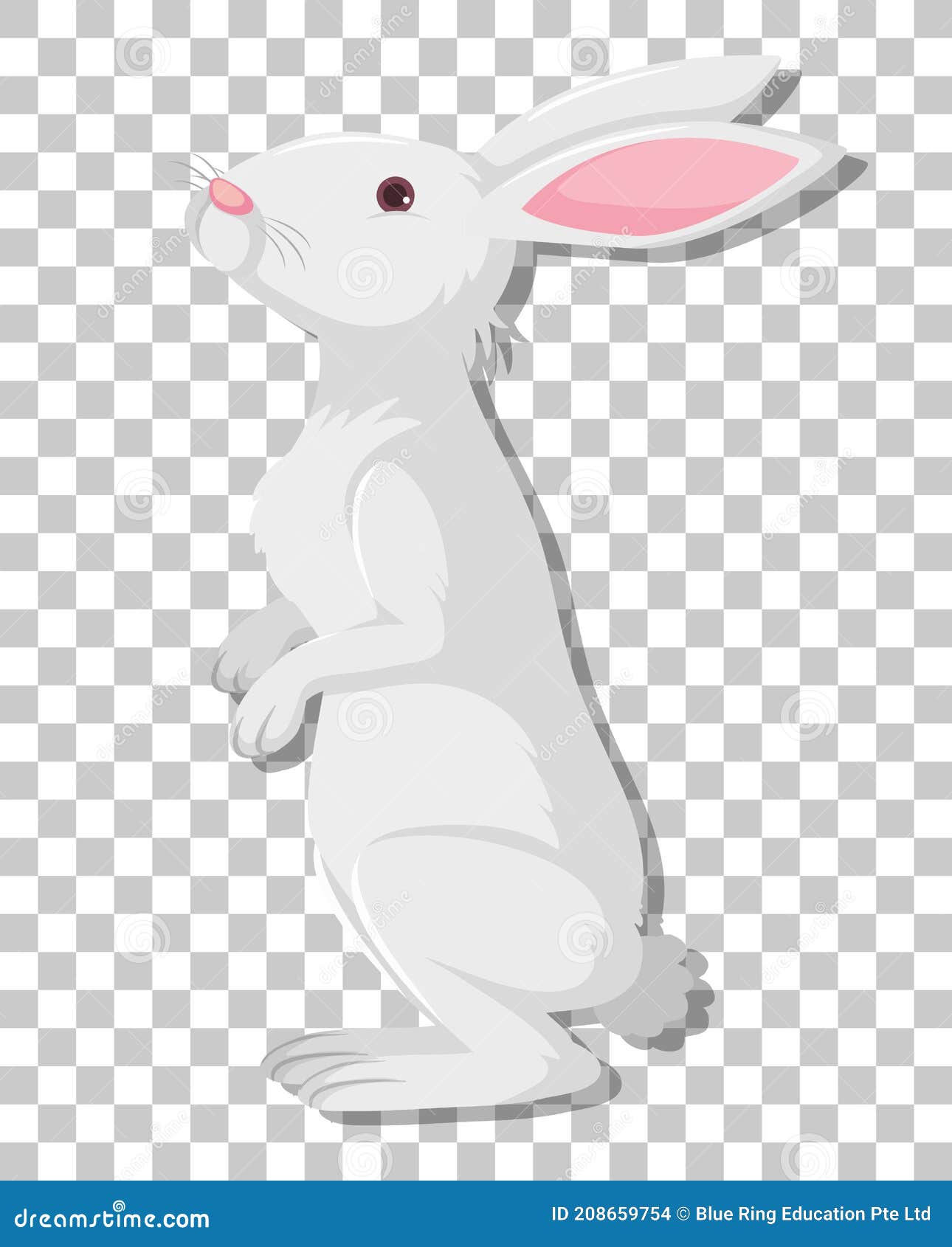 White Rabbit Cartoon Isolated on Transparent Background Stock Vector ...