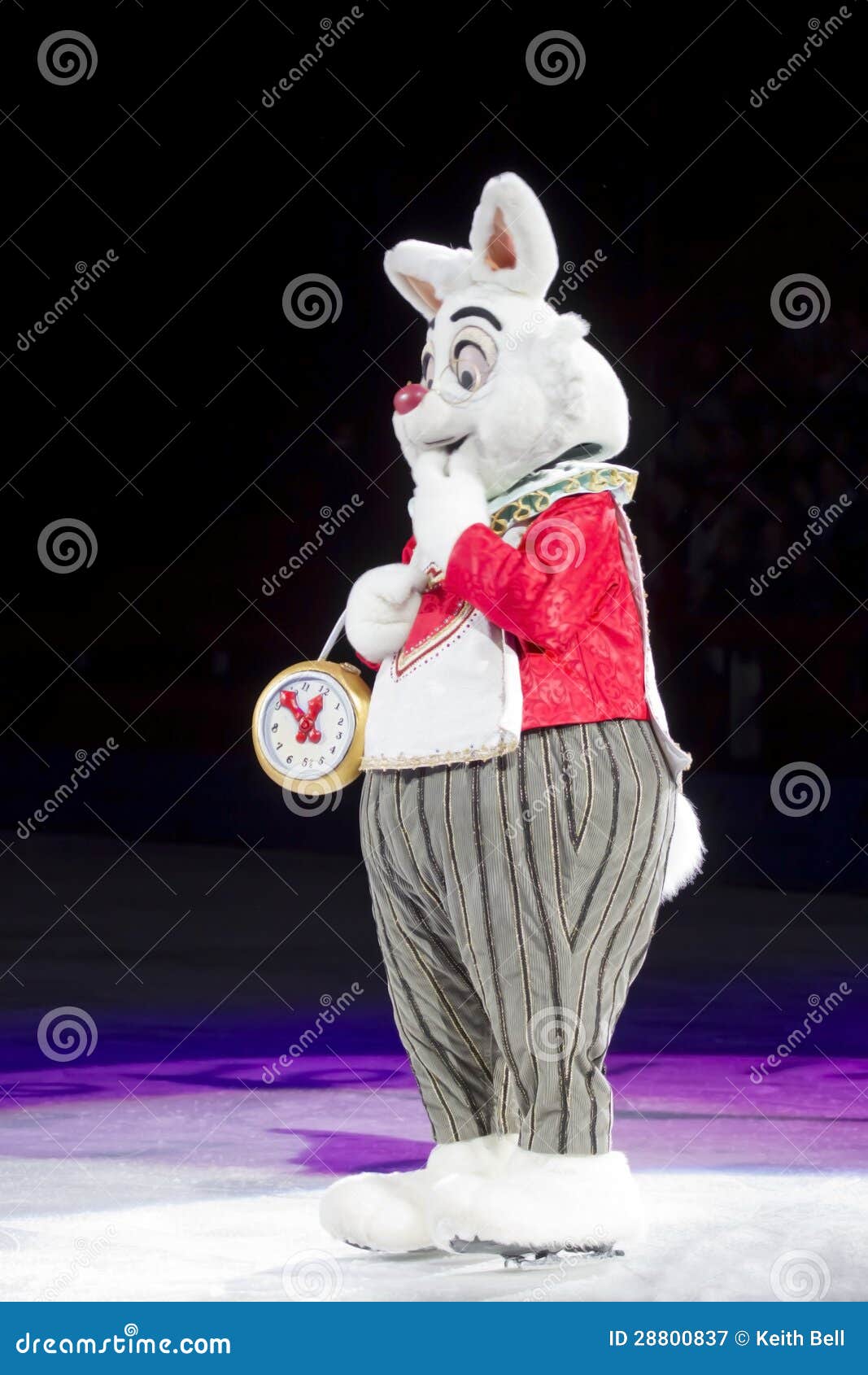 White Rabbit with Clock editorial photography. Image of wisconsin ...