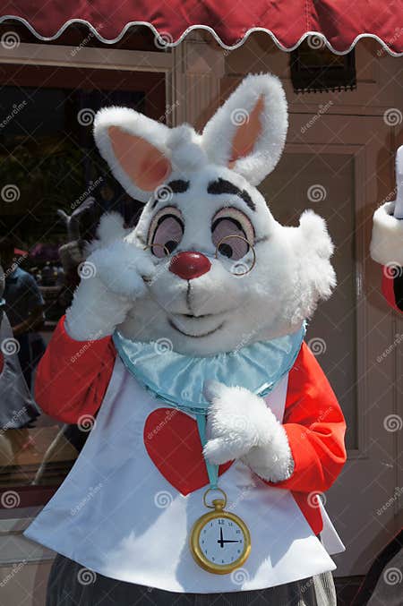 White Rabbit at Disneyland editorial stock photo. Image of disney ...