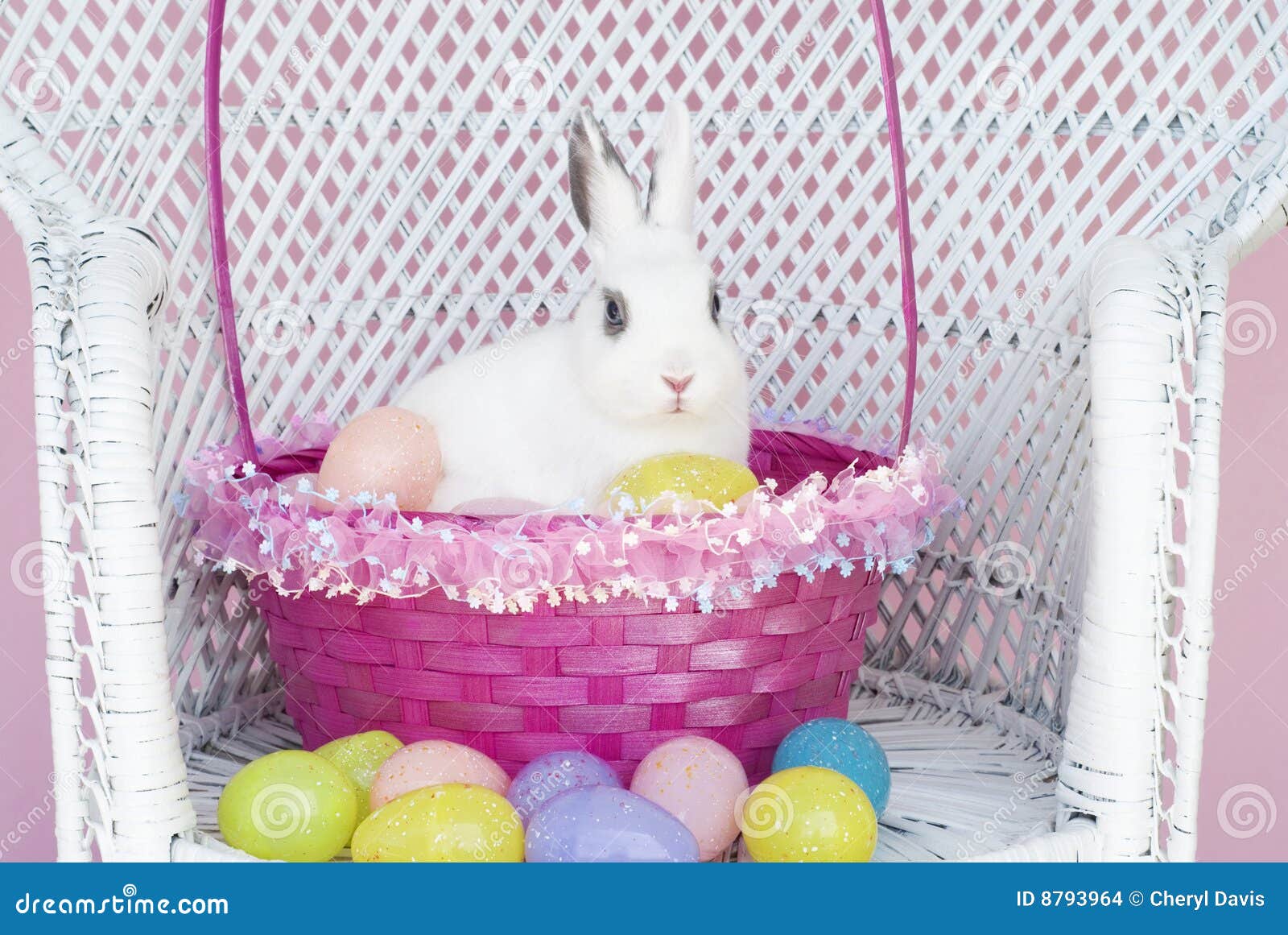 White Rabbit in Easter Basket with Easter Eggs Stock Photo - Image of ...