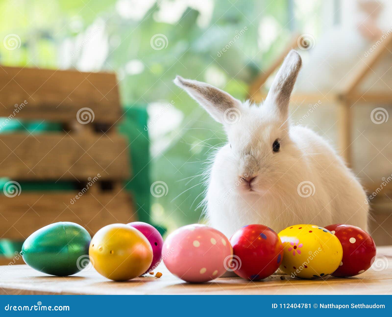 White Rabbit with Easter Egg Illustrate Easter Festival Stock Image ...