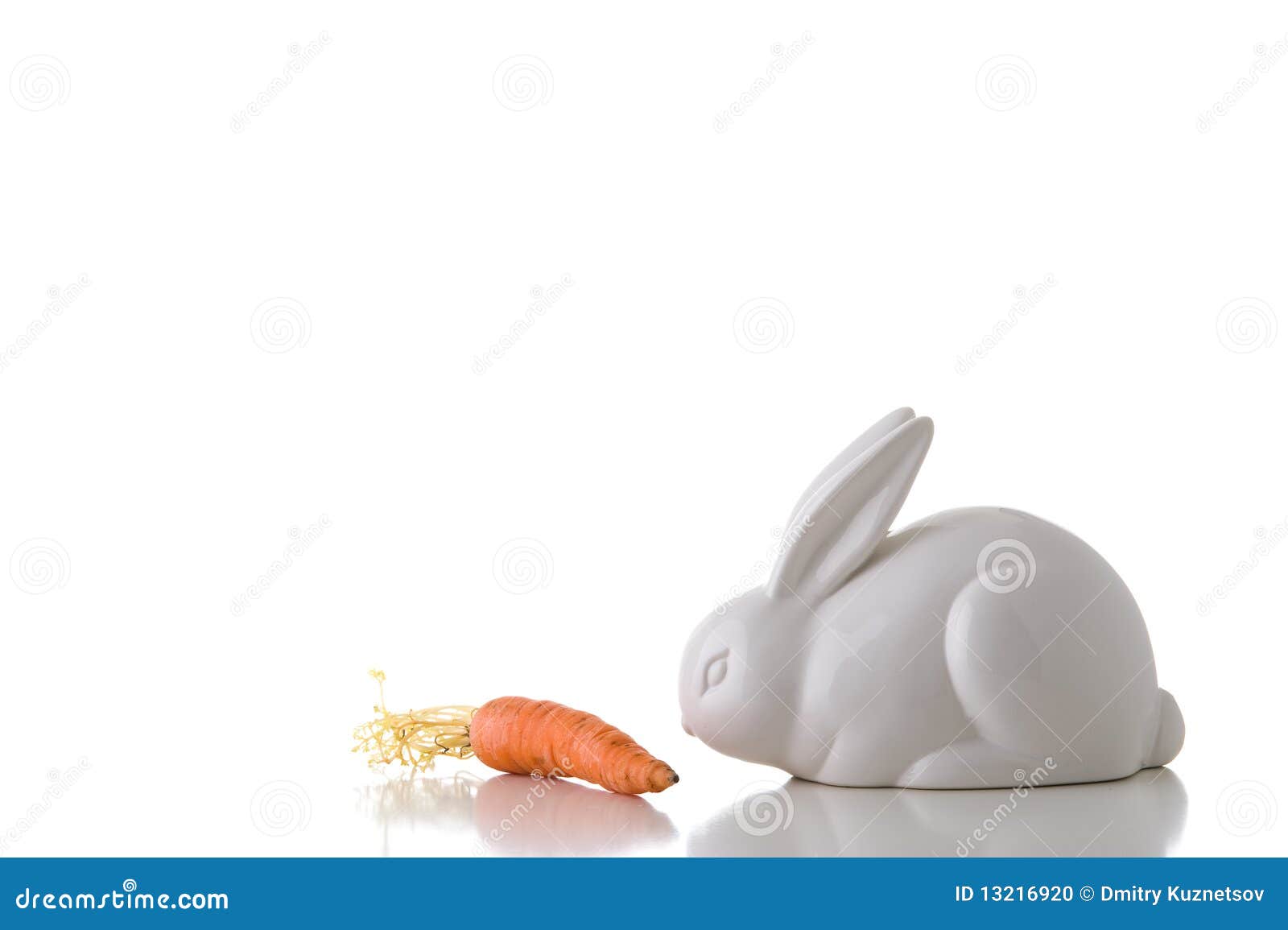White rabbit eat carrot. stock photo. Image of reflection - 13216920