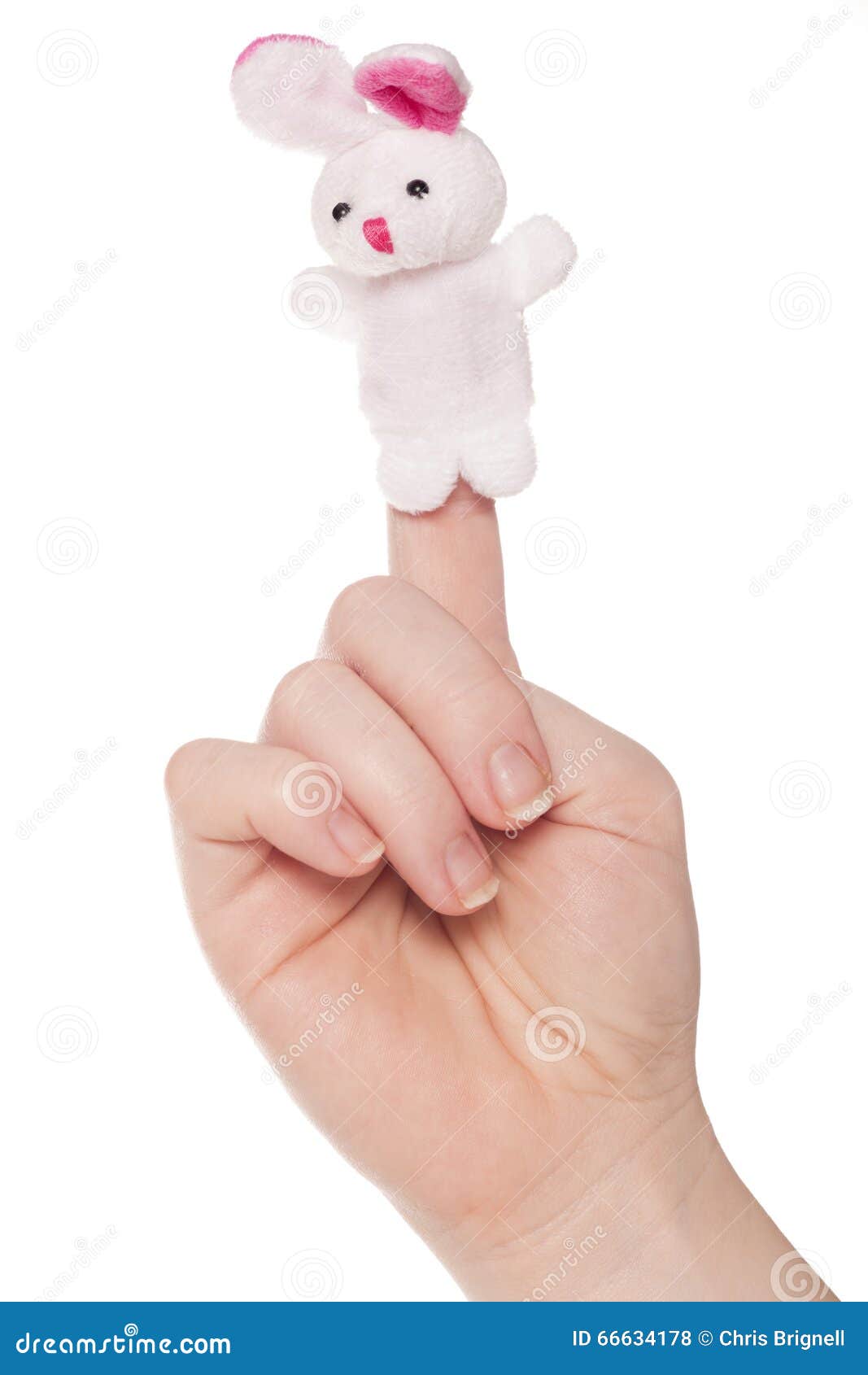 1,290 White Rabbit Cutout Photos - Free & Royalty-Free Stock Photos ...