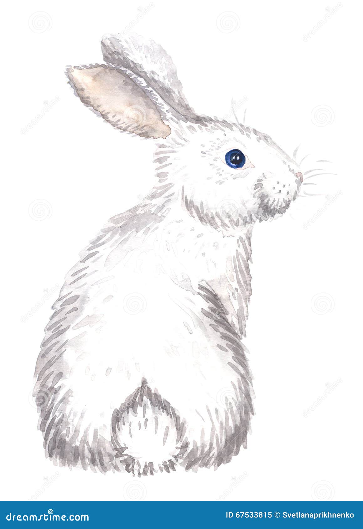 White rabbit isolated stock illustration. Illustration of isolated ...