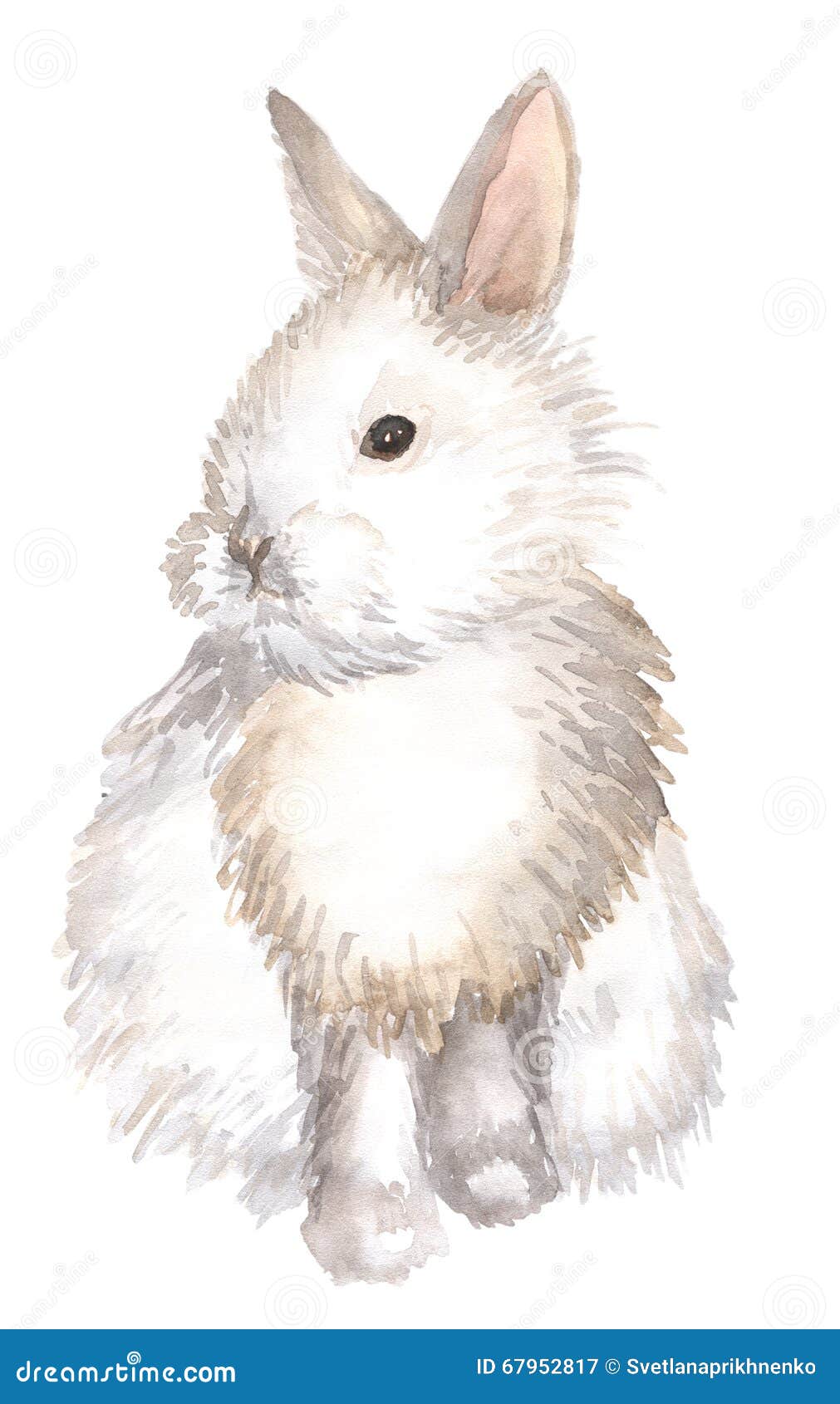 White rabbit isolated stock illustration. Illustration of painting ...