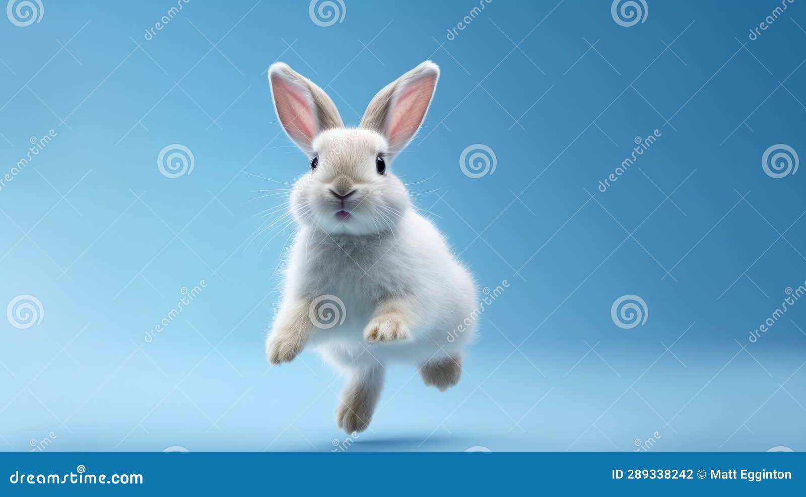 A White Rabbit Leaping with Joy in Mid-air Stock Illustration ...