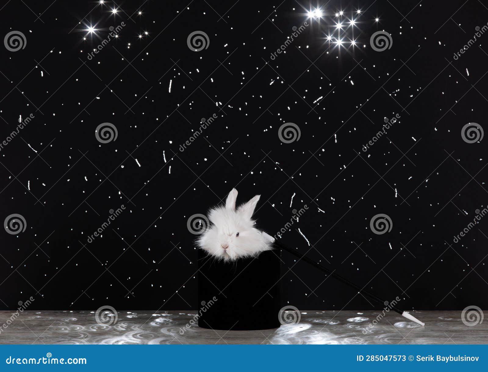 White Rabbit in a Magic Box on a Black Stock Image - Image of surprise ...