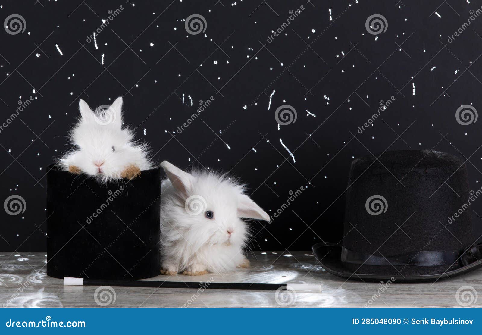 White Rabbit in a Magic Box on a Black Stock Photo - Image of wand ...