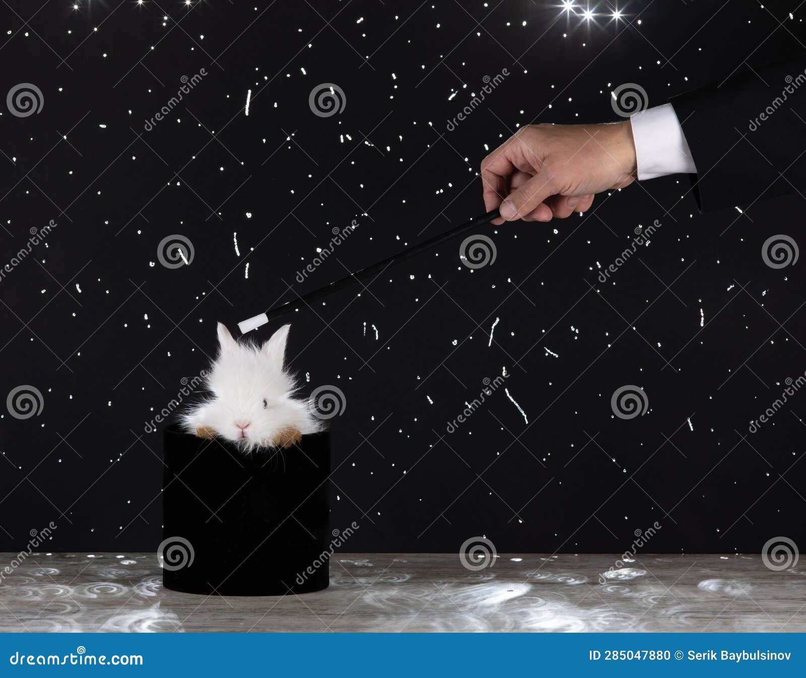 White Rabbit in a Magic Box on a Black Stock Photo - Image of focus ...