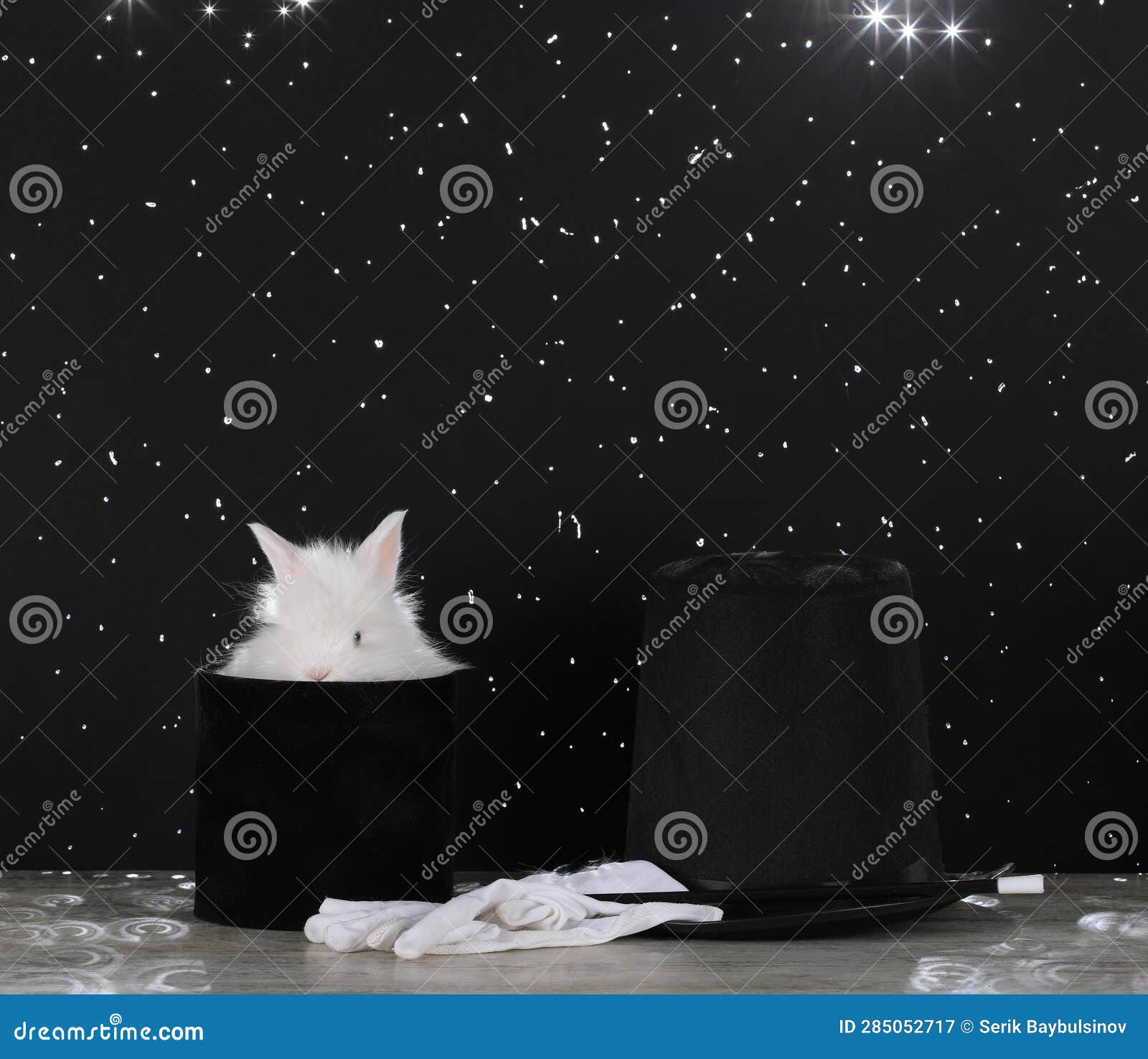 White Rabbit in a Magic Box on a Black Stock Image - Image of ...