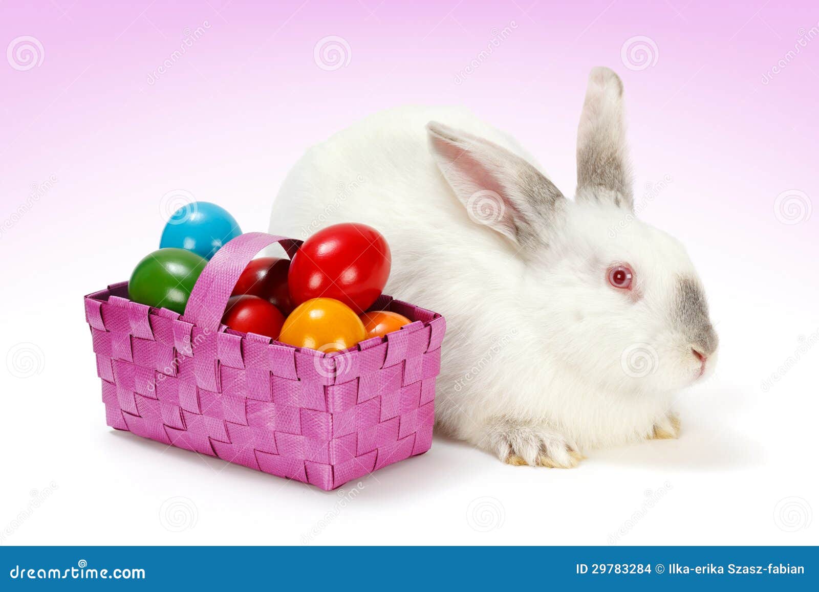 White Rabbit with Easter Eggs in Basket Stock Photo - Image of purple ...