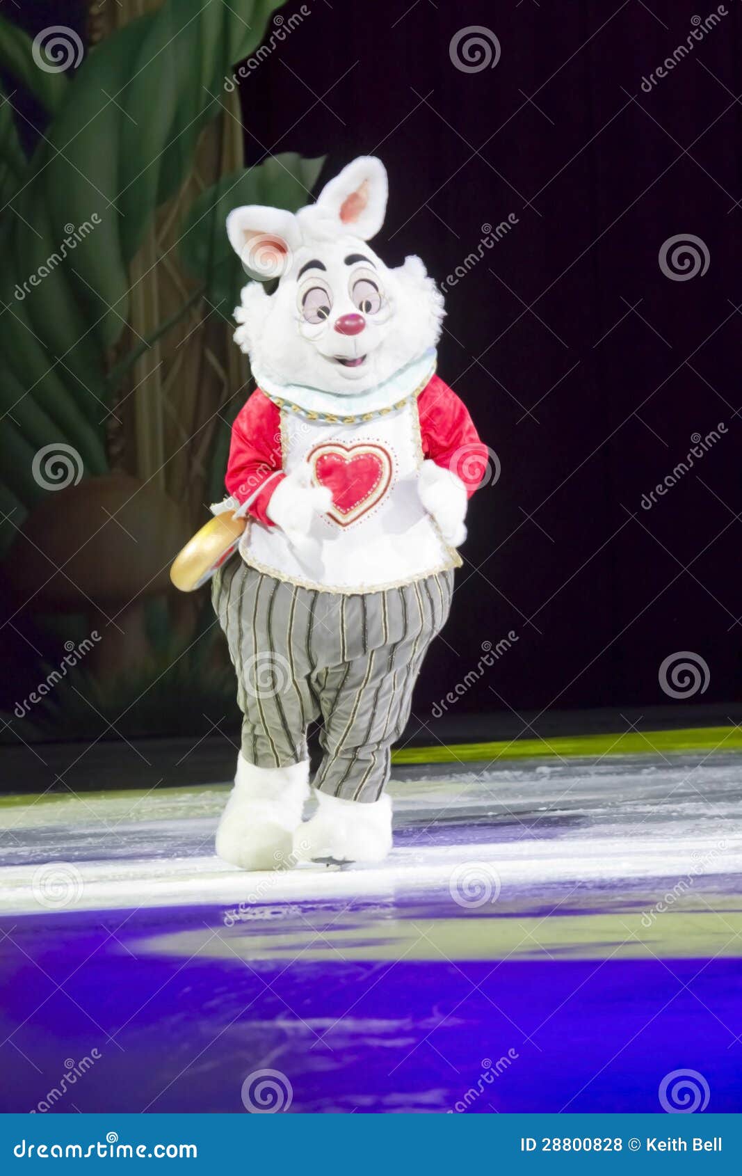 White Rabbit One editorial stock photo. Image of dress - 28800828