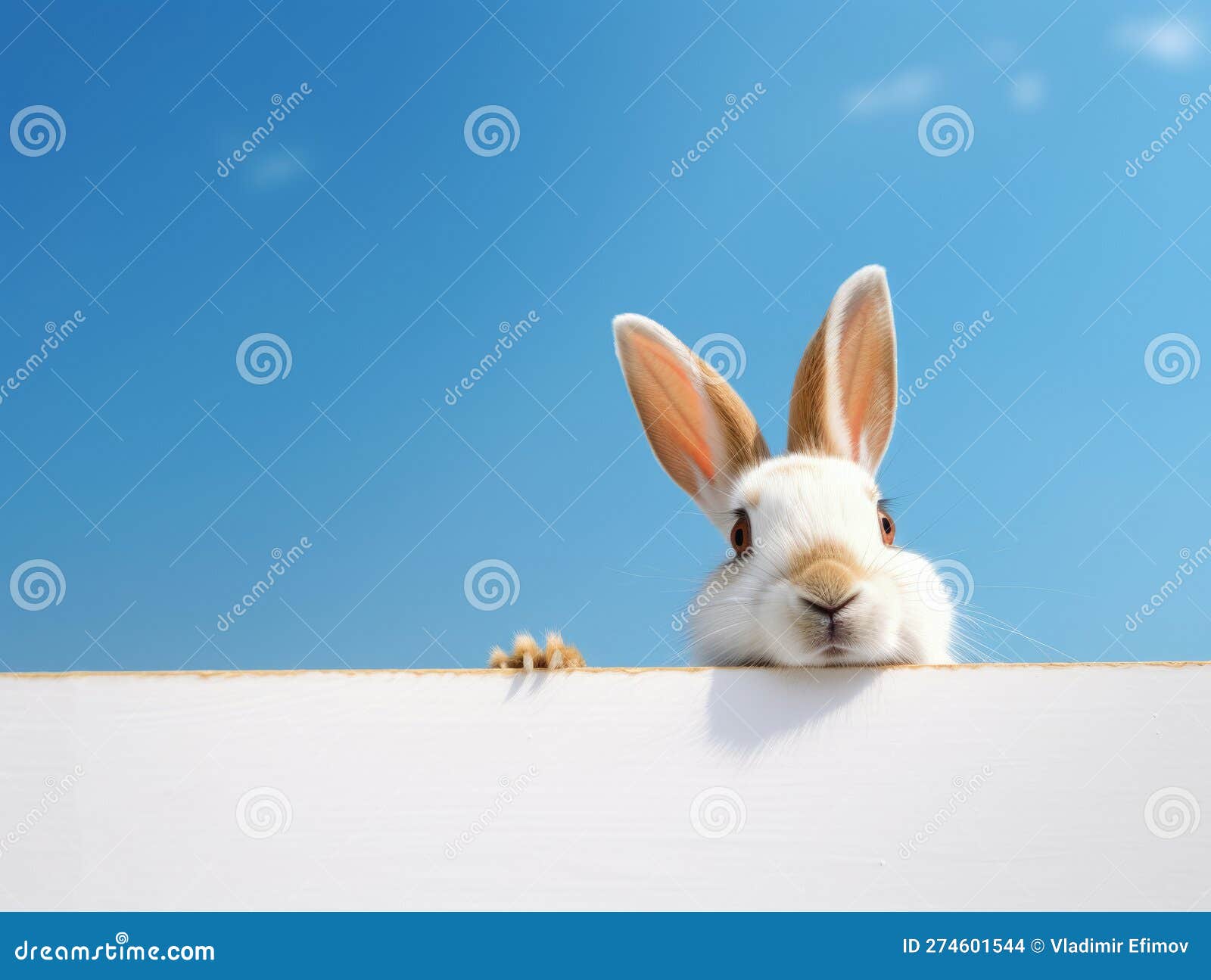 White Rabbit Peeking Out from Behind a White Wall Stock Illustration ...