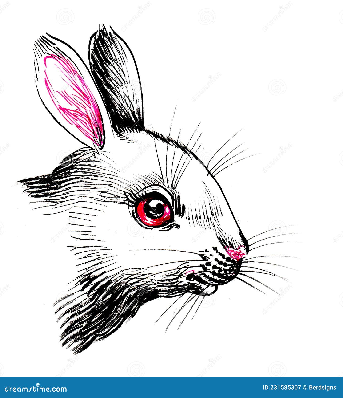 White rabbit with red eyes stock illustration. Illustration of white ...