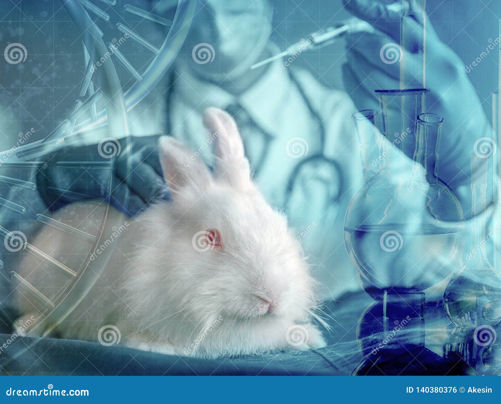 White Rabbit and Researcher with Syringe on Hand in Concept of Using ...