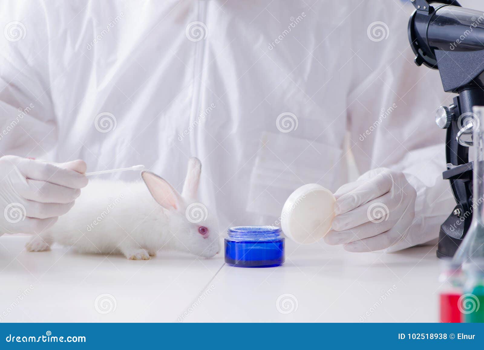 The White Rabbit in Scientific Lab Experiment Stock Photo - Image of ...