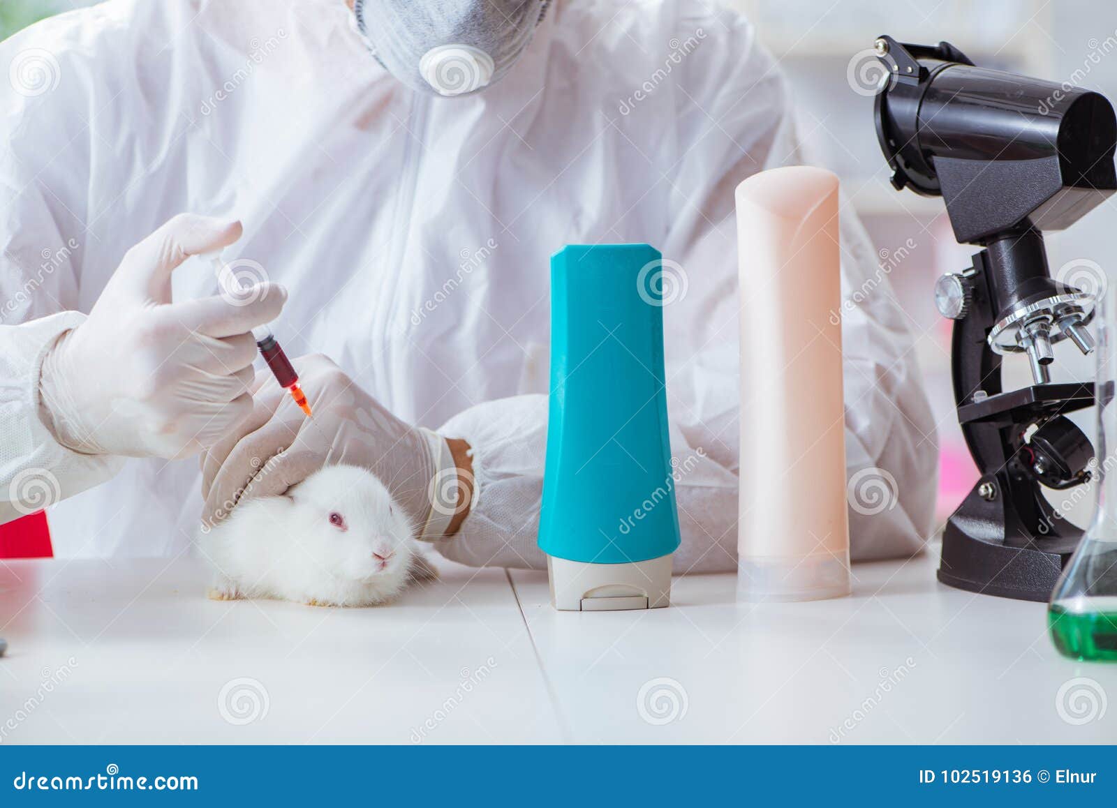 The White Rabbit in Scientific Lab Experiment Stock Photo - Image of ...