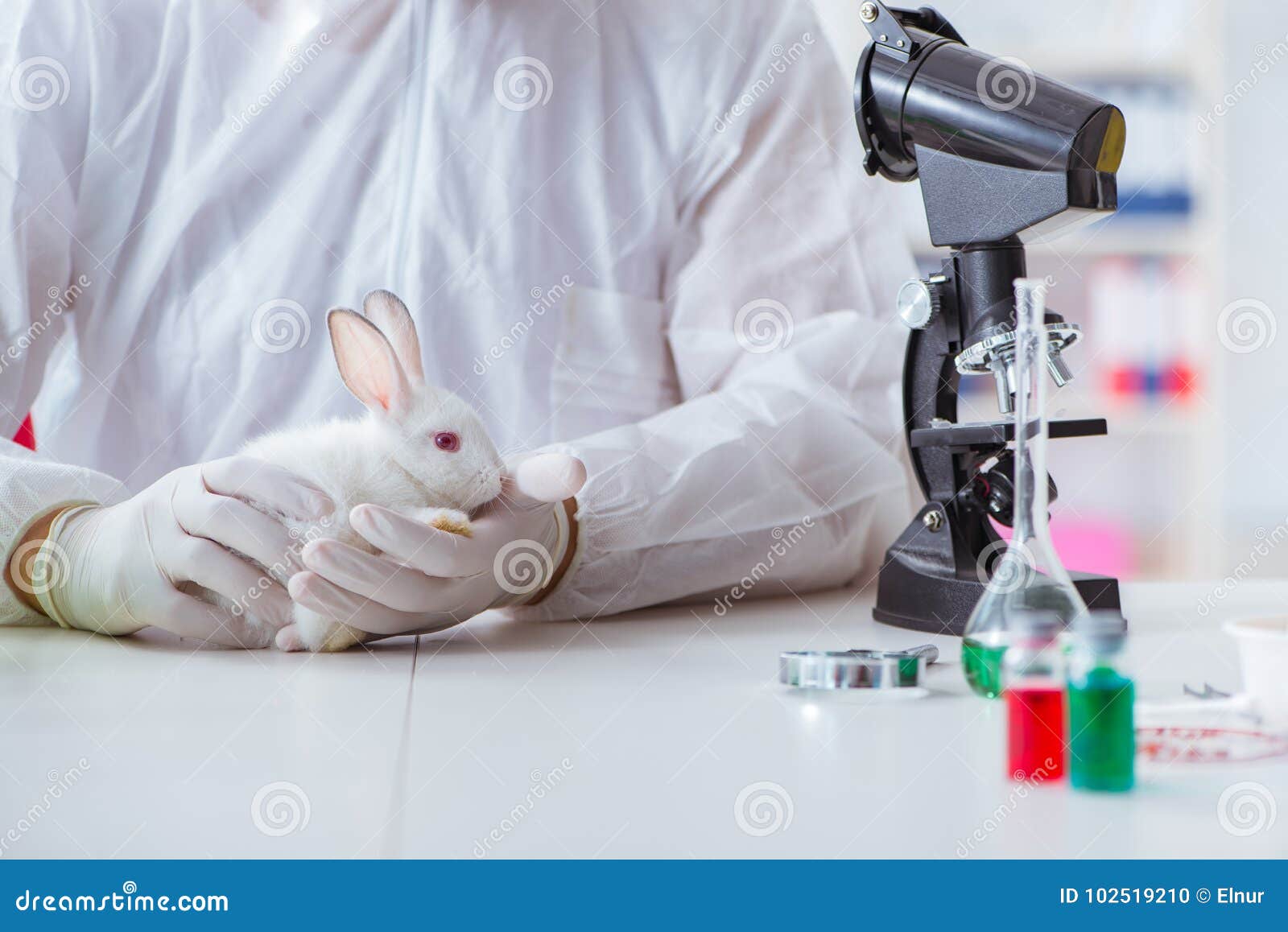 The White Rabbit in Scientific Lab Experiment Stock Photo - Image of ...