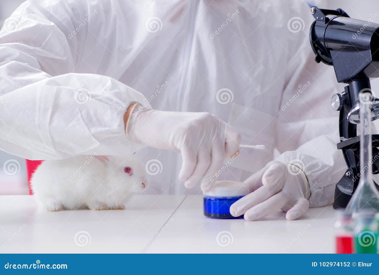 The White Rabbit in Scientific Lab Experiment Stock Photo - Image of ...