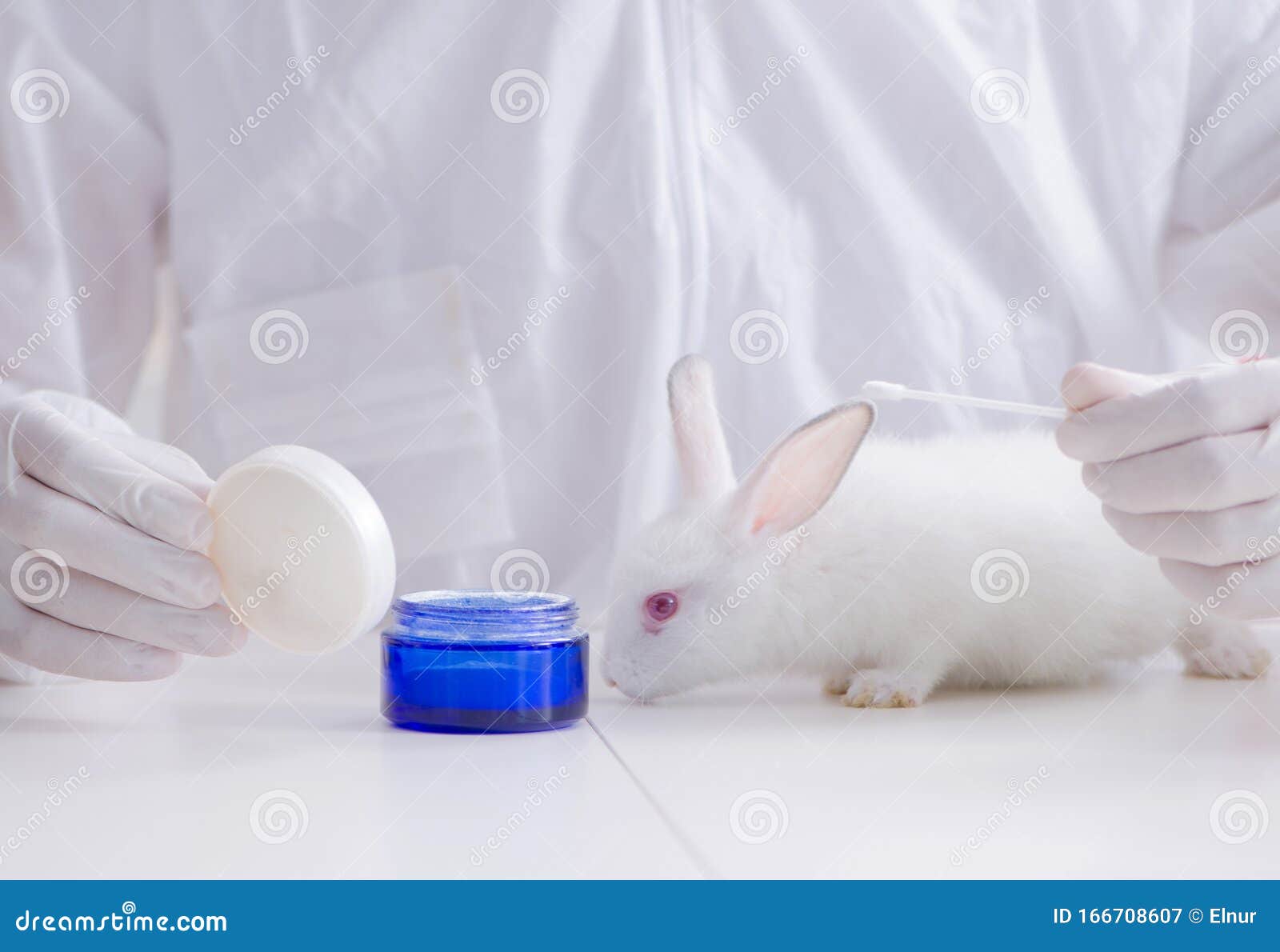 White Rabbit in Scientific Lab Experiment Stock Image - Image of office ...