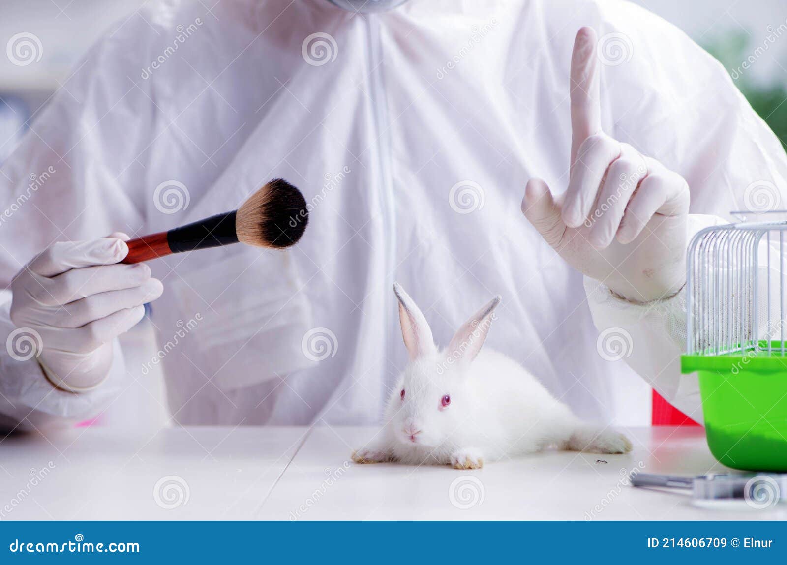 White Rabbit in Scientific Lab Experiment Stock Image - Image of office ...