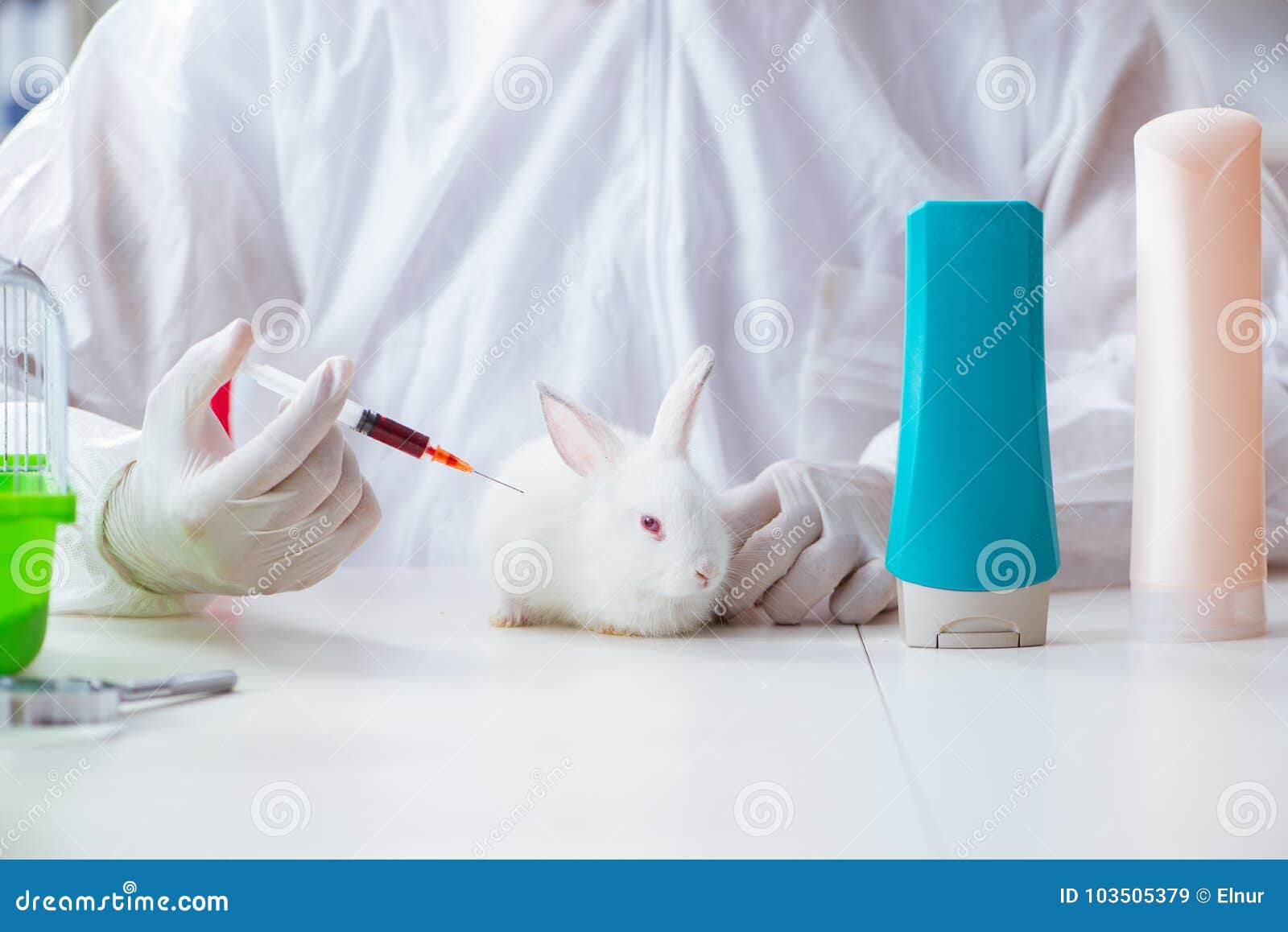 The White Rabbit in Scientific Lab Experiment Stock Image - Image of ...