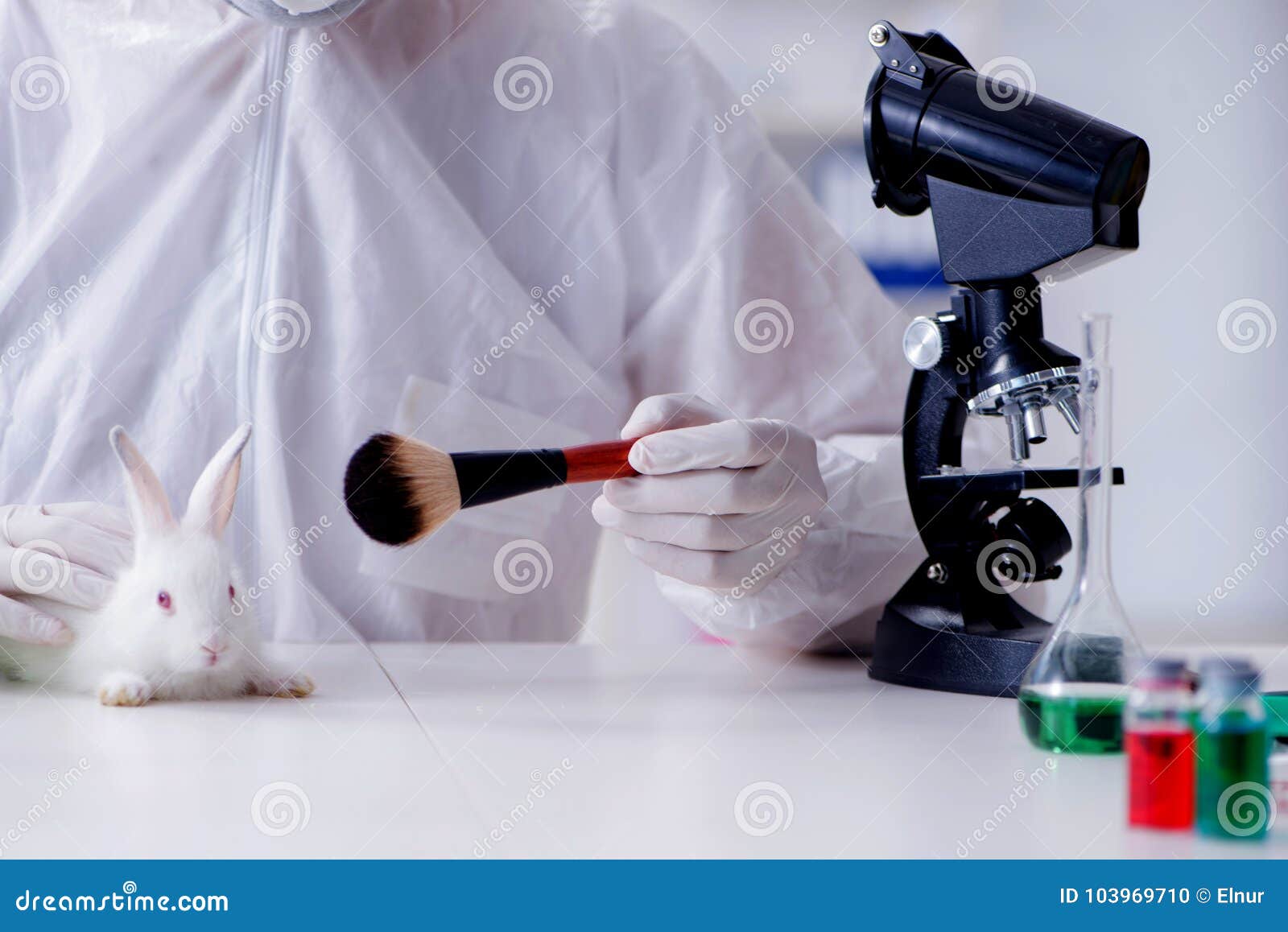 The White Rabbit in Scientific Lab Experiment Stock Photo - Image of ...