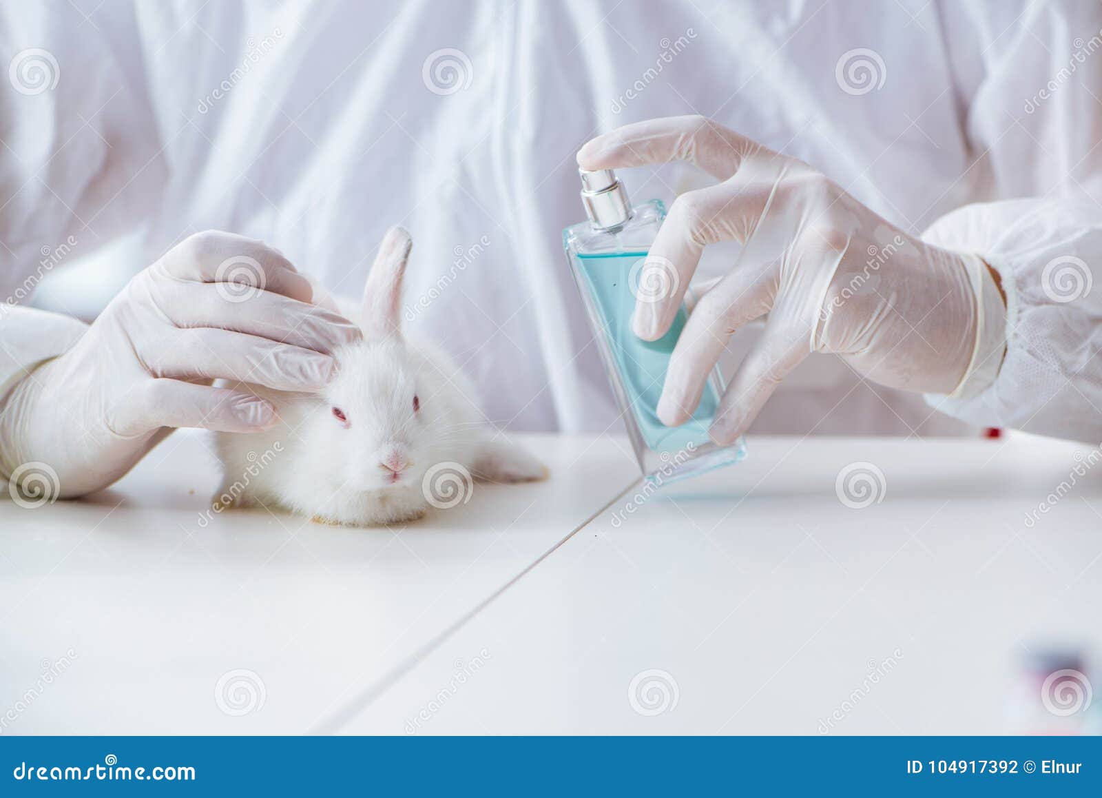 The White Rabbit in Scientific Lab Experiment Stock Photo - Image of ...