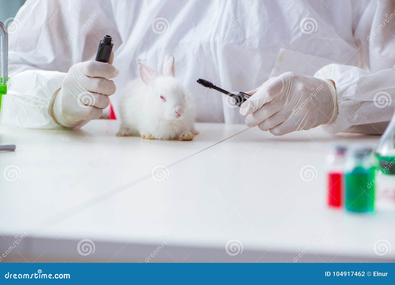 The White Rabbit in Scientific Lab Experiment Stock Photo - Image of ...