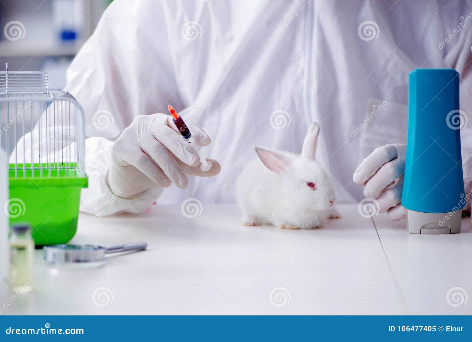 The White Rabbit in Scientific Lab Experiment Stock Image - Image of ...