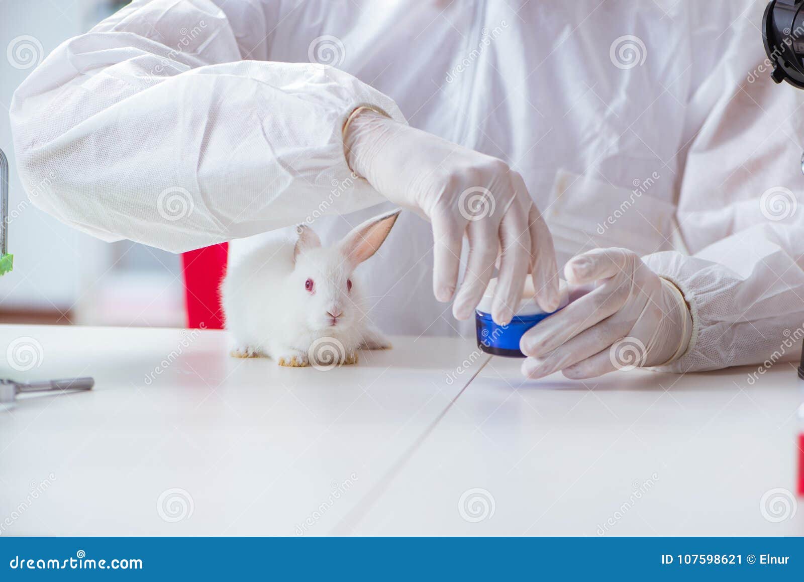 The White Rabbit in Scientific Lab Experiment Stock Image - Image of ...
