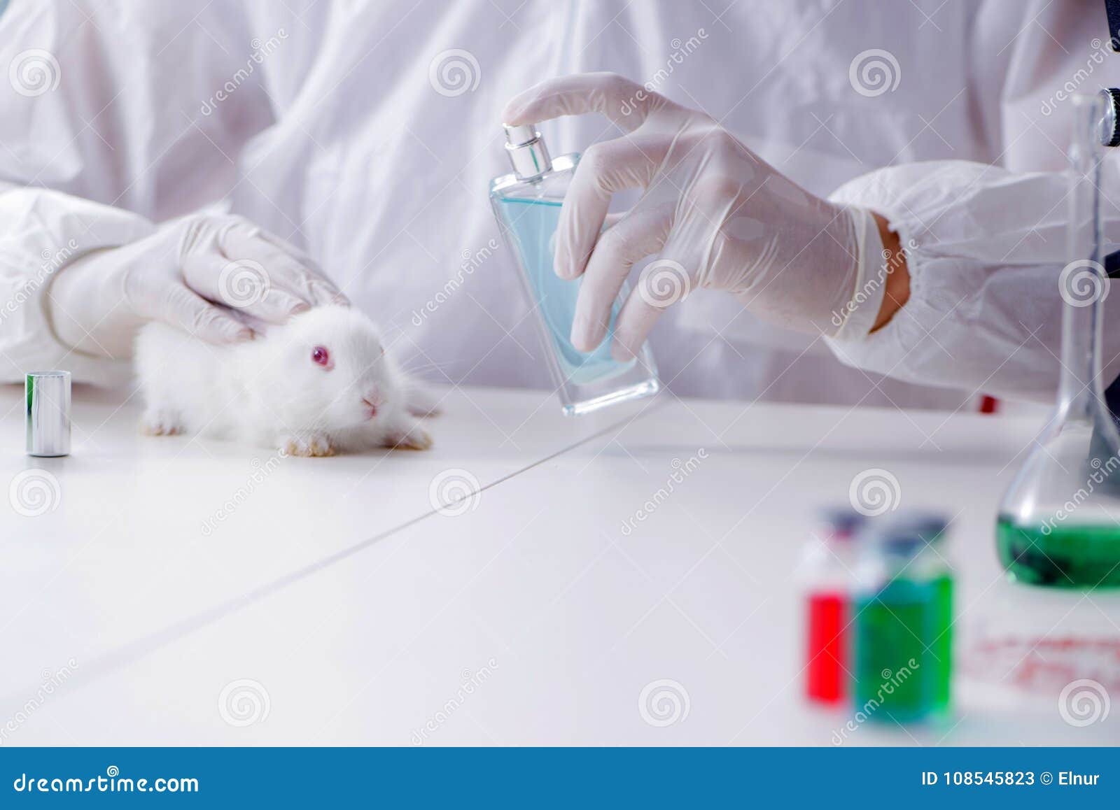 The White Rabbit in Scientific Lab Experiment Stock Image - Image of ...
