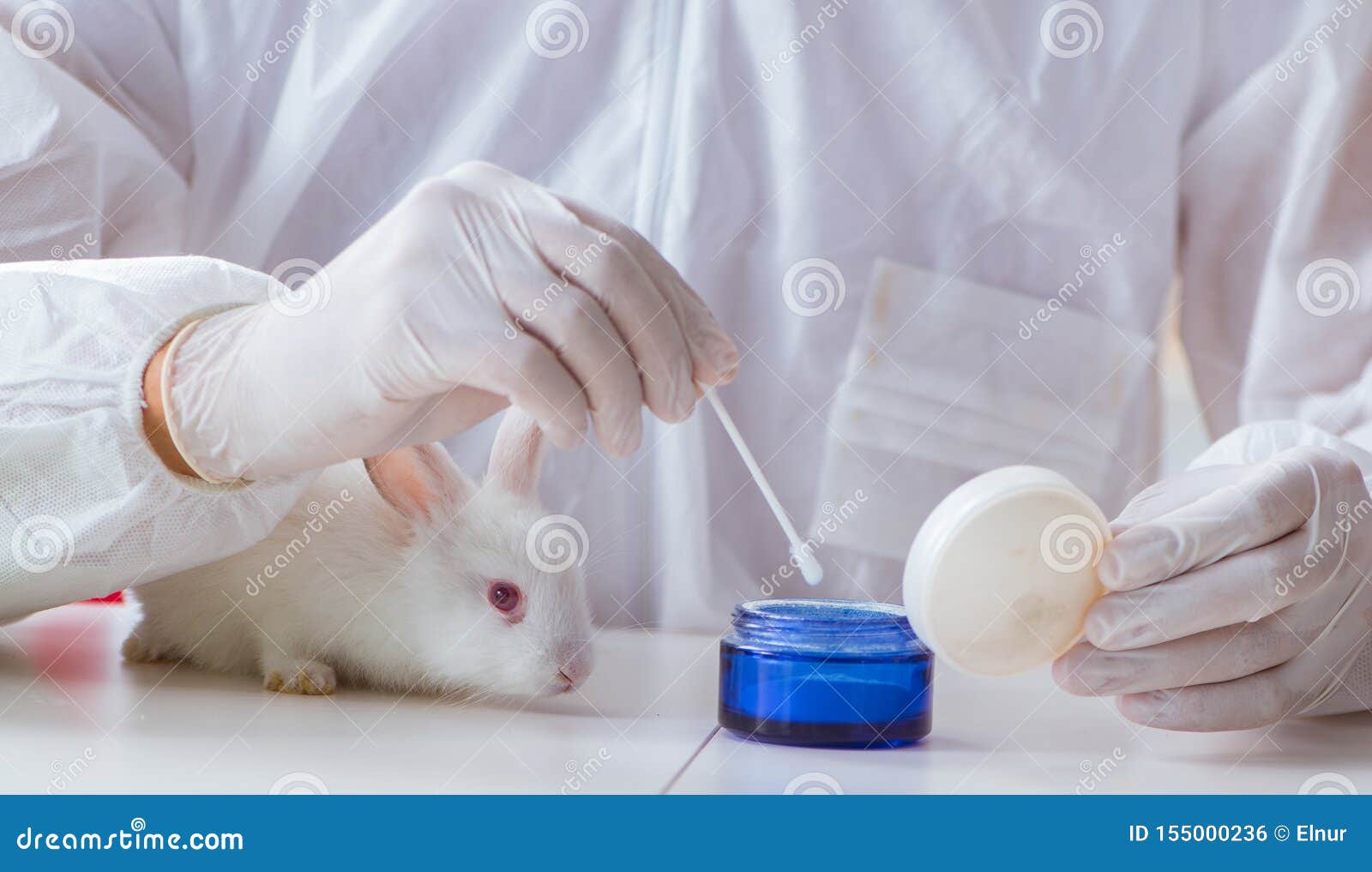 White Rabbit in Scientific Lab Experiment Stock Photo - Image of animal ...