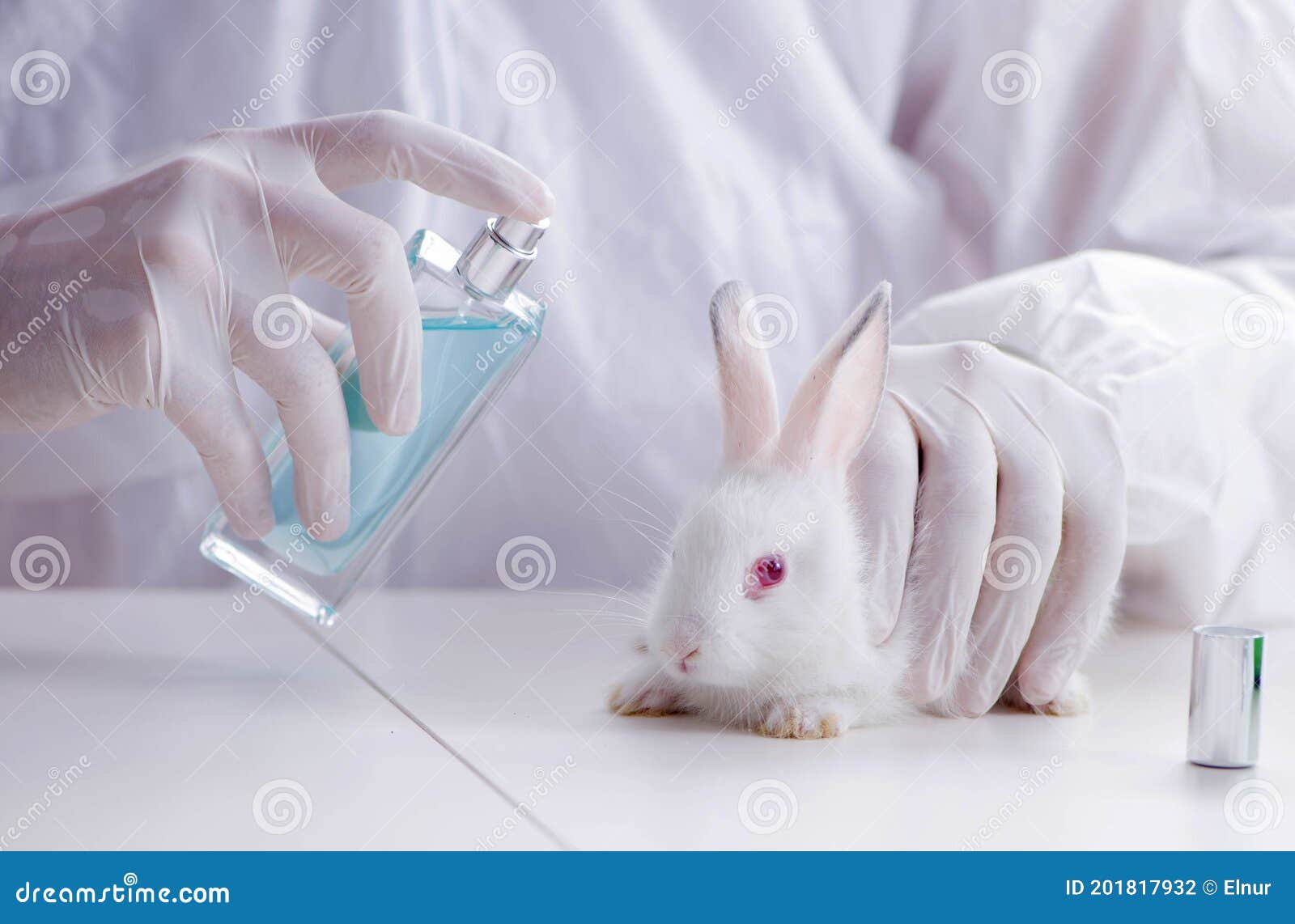 White Rabbit in Scientific Lab Experiment Stock Photo - Image of ...
