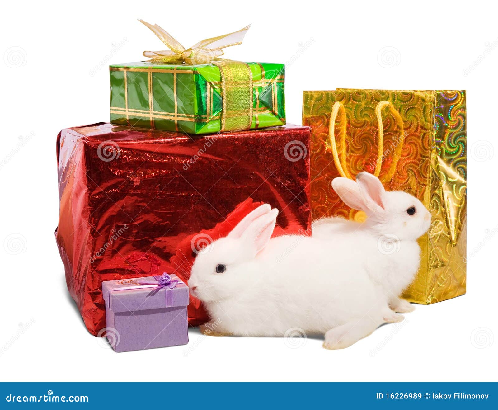 185 Rabbits Gifts Stock Photos - Free & Royalty-Free Stock Photos from ...